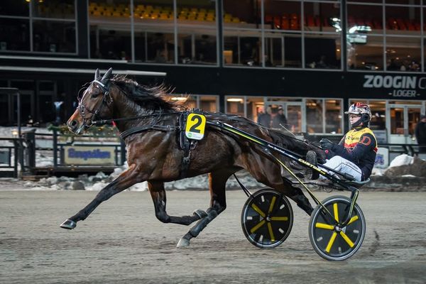 Sandsjöns Cantona – Travera.nu