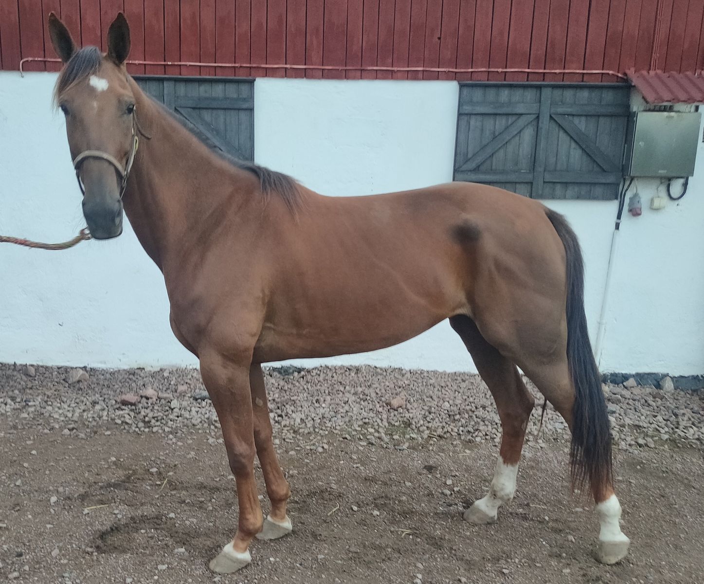 Clear As Mud – Travera.nu