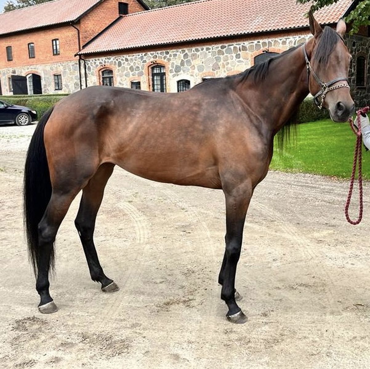 Dolly Express – Travera.nu