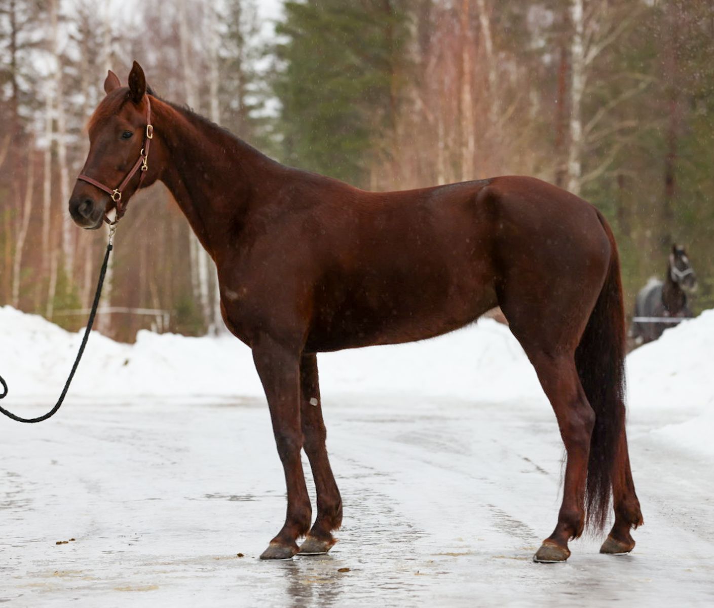 Eclectic* – Travera.nu