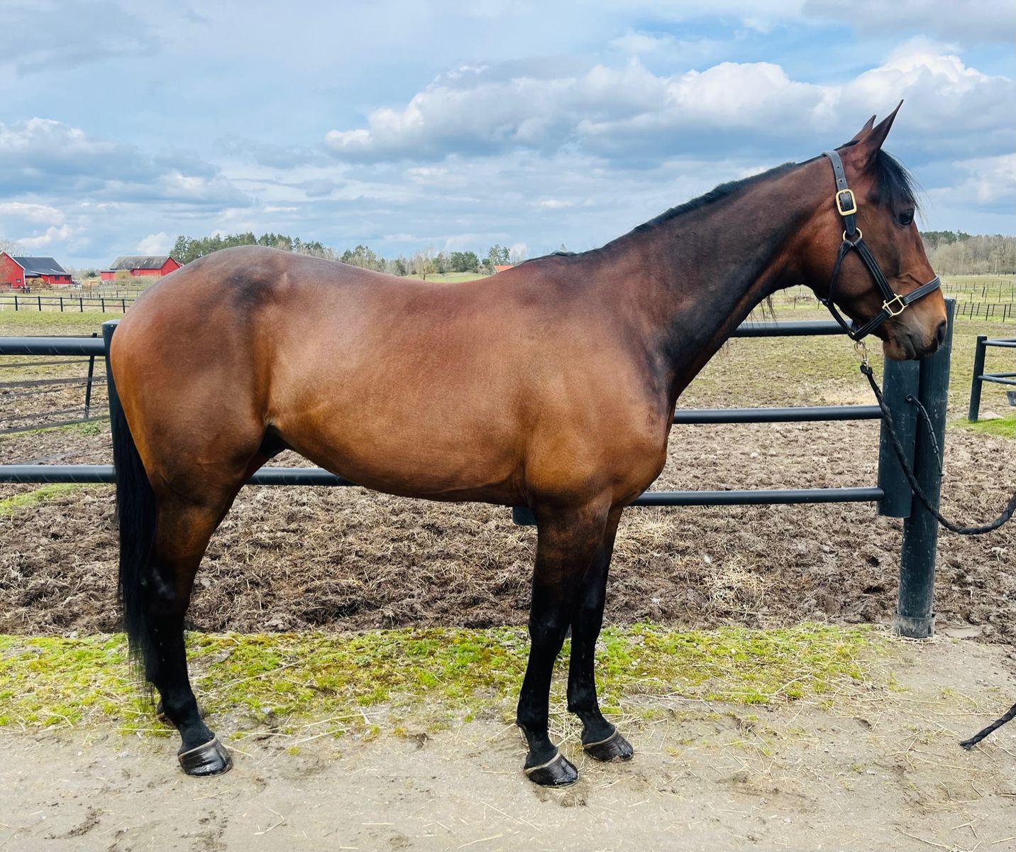 Email – Travera.nu