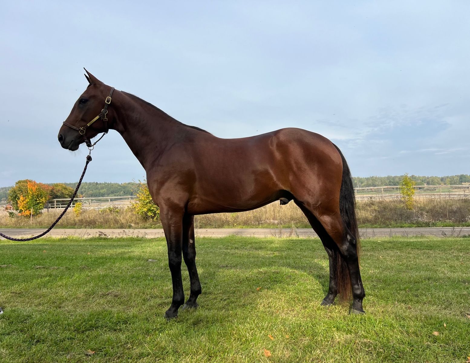 Global Flashback – Travera.nu