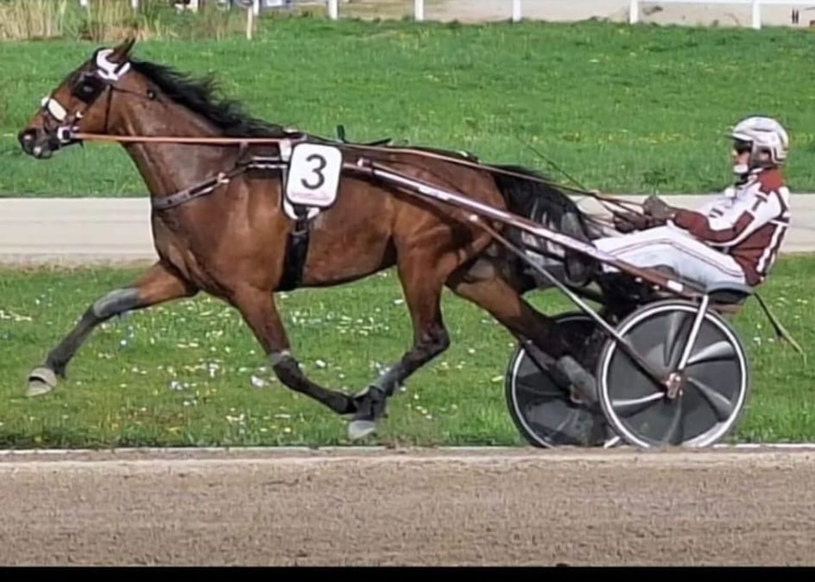 Galaxy Love (DE) – Travera.nu