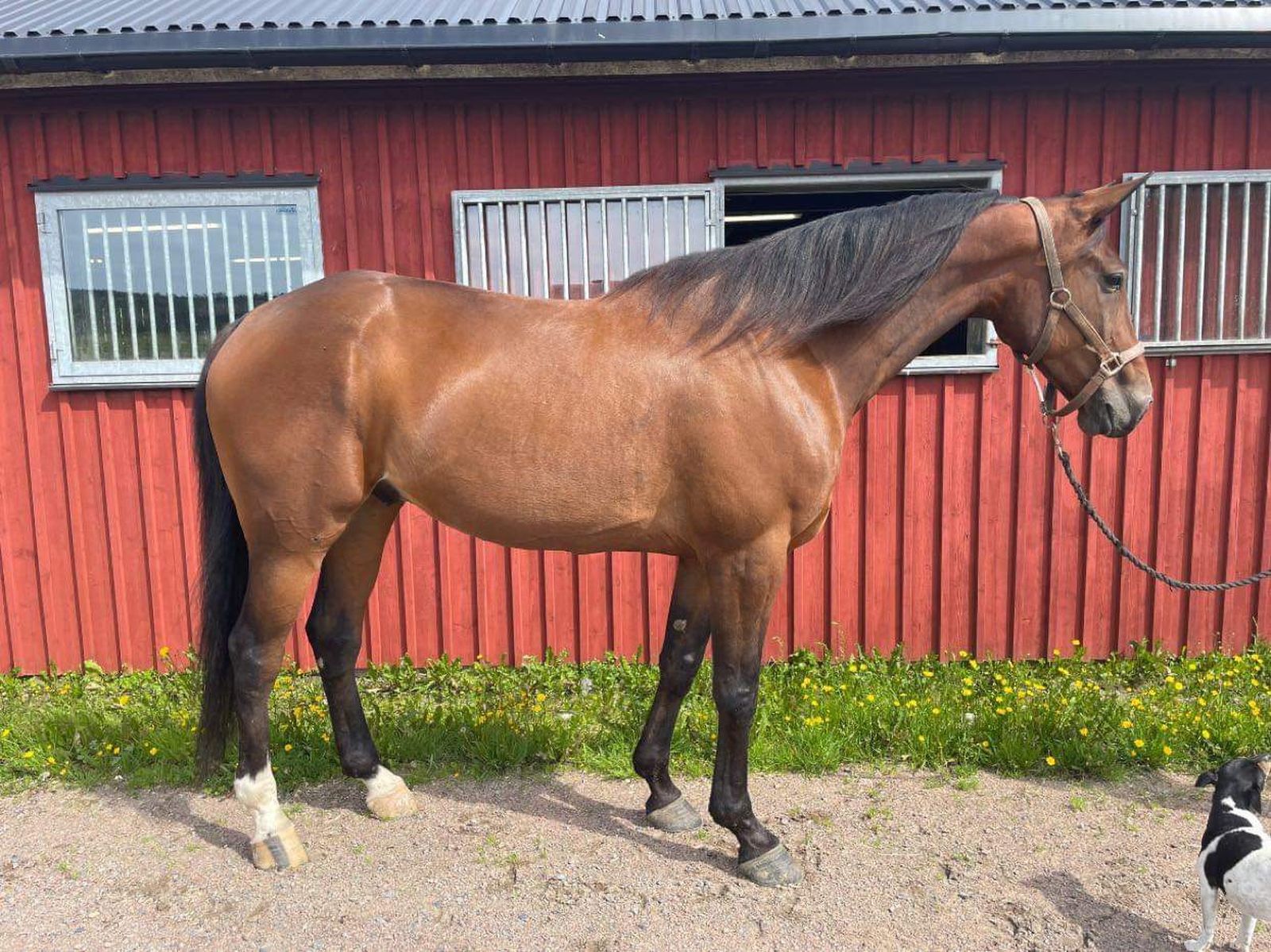 Digital Crunch – Travera.nu