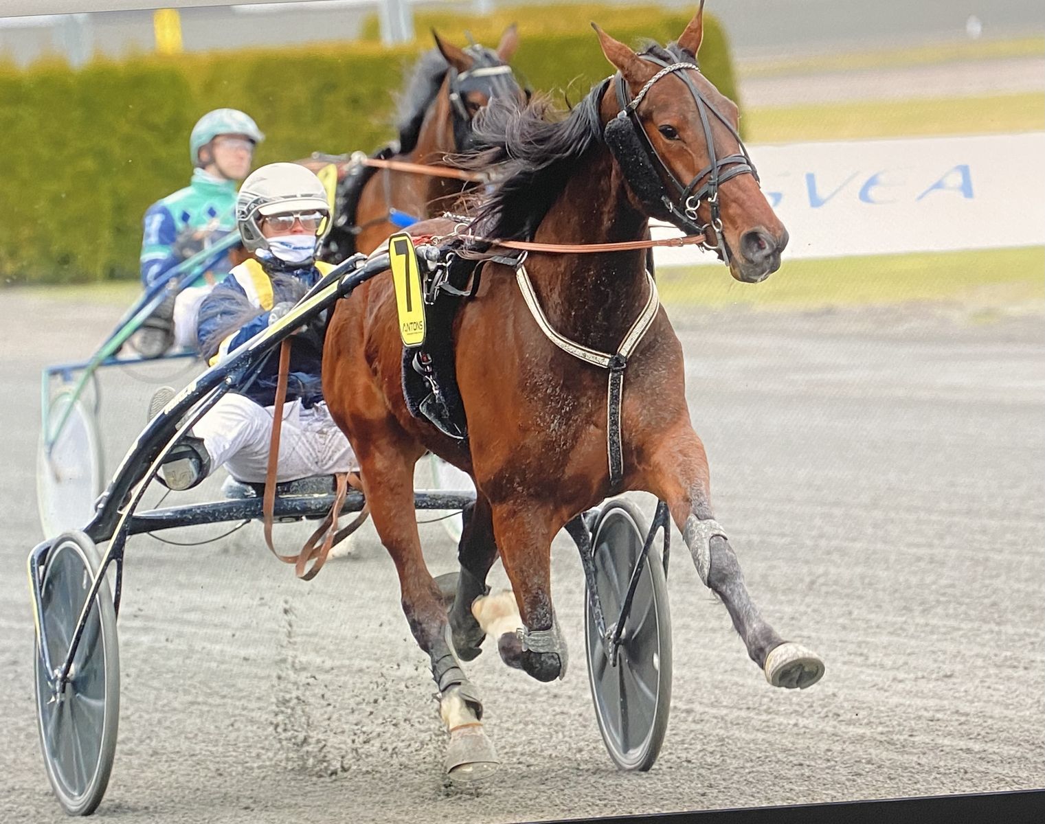 Lifecycle – Travera.nu