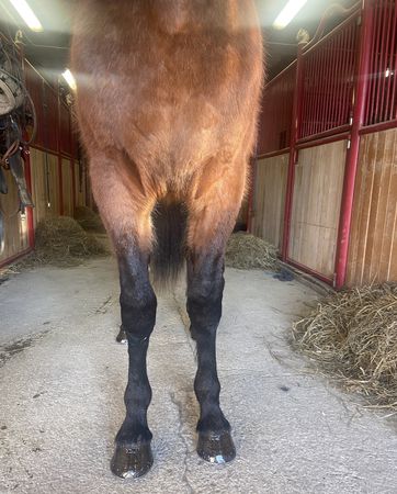 Make it Q.L. – Travera.nu