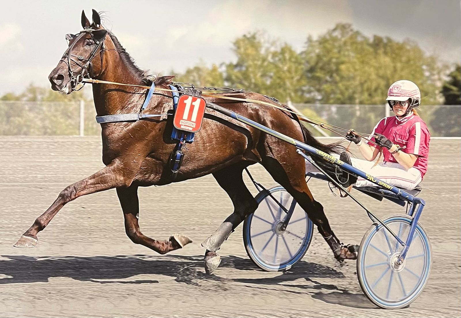 Mercedes – Travera.nu