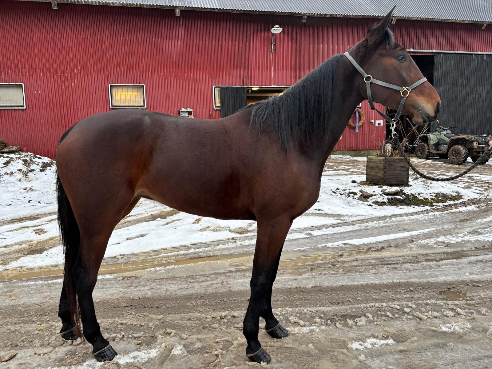 Ottens Lava – Travera.nu