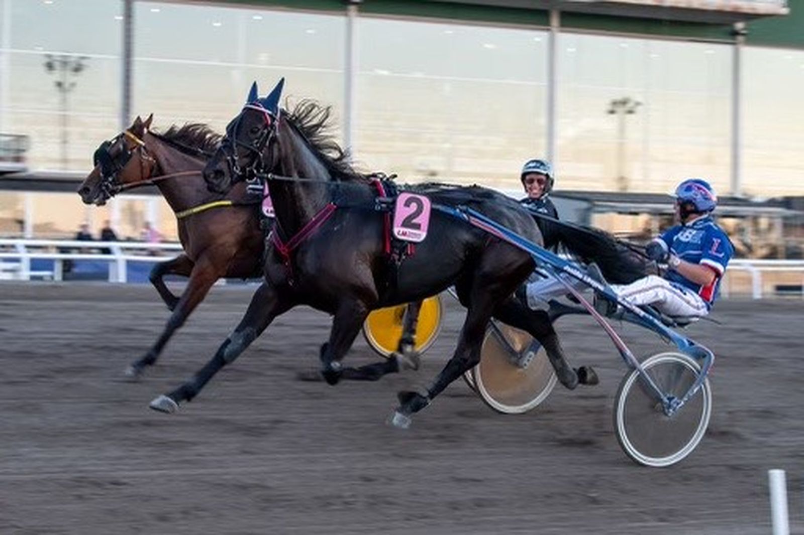 Suddenly Spring – Travera.nu