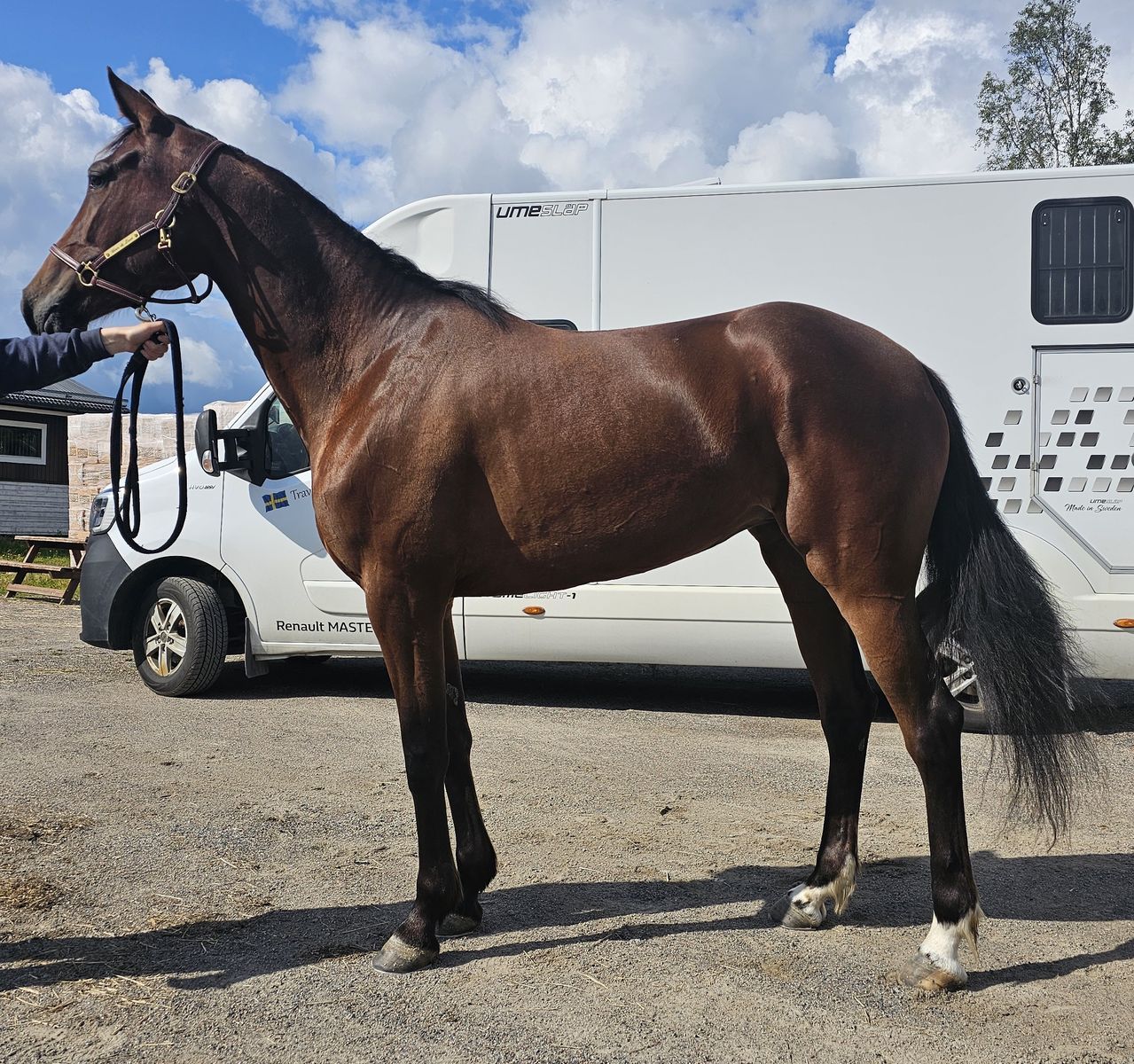 Uisce de Zeun – Travera.nu