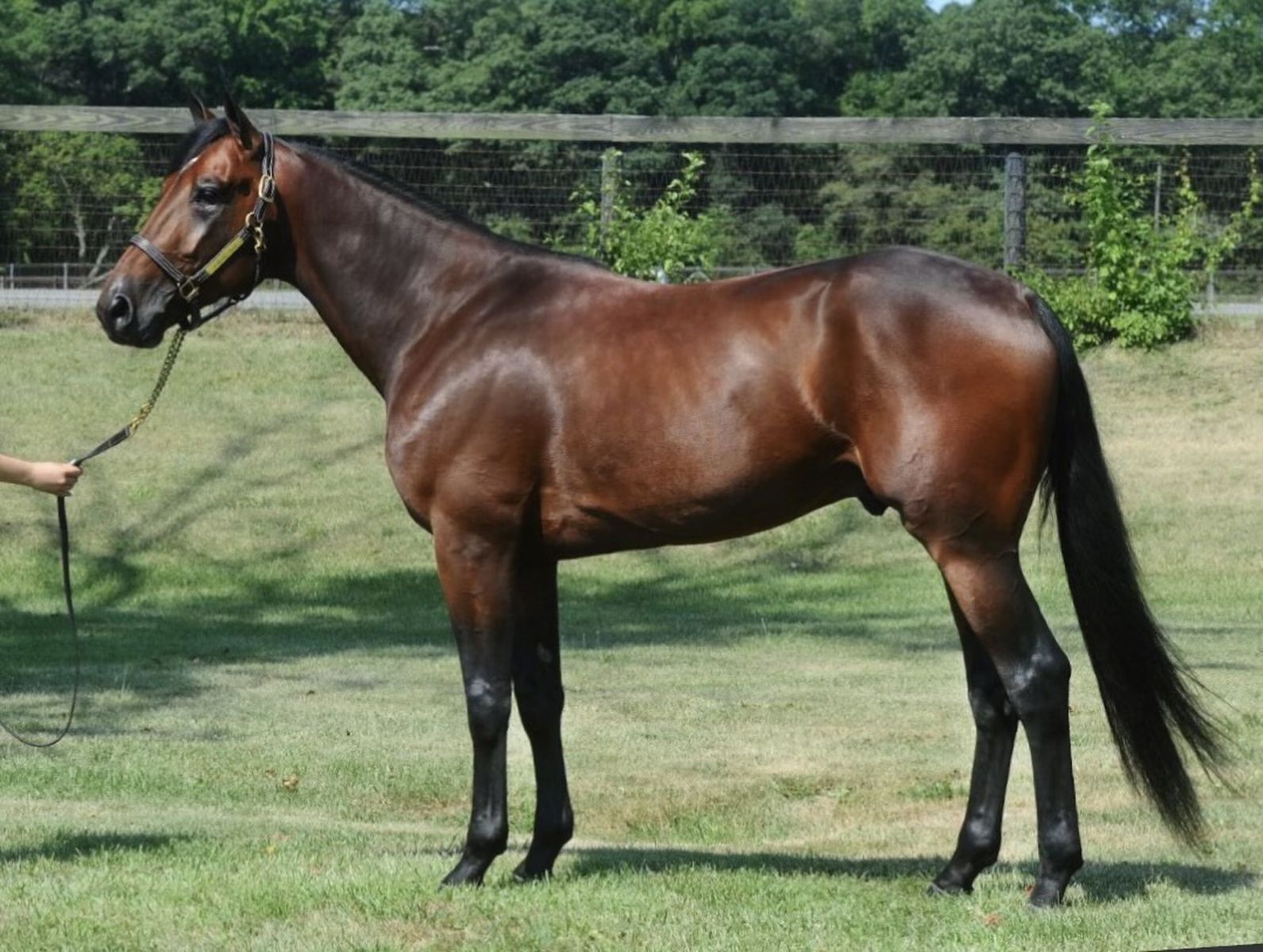 Upstaged – Travera.nu