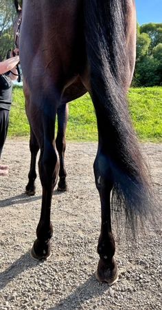 Yazmine – Travera.nu