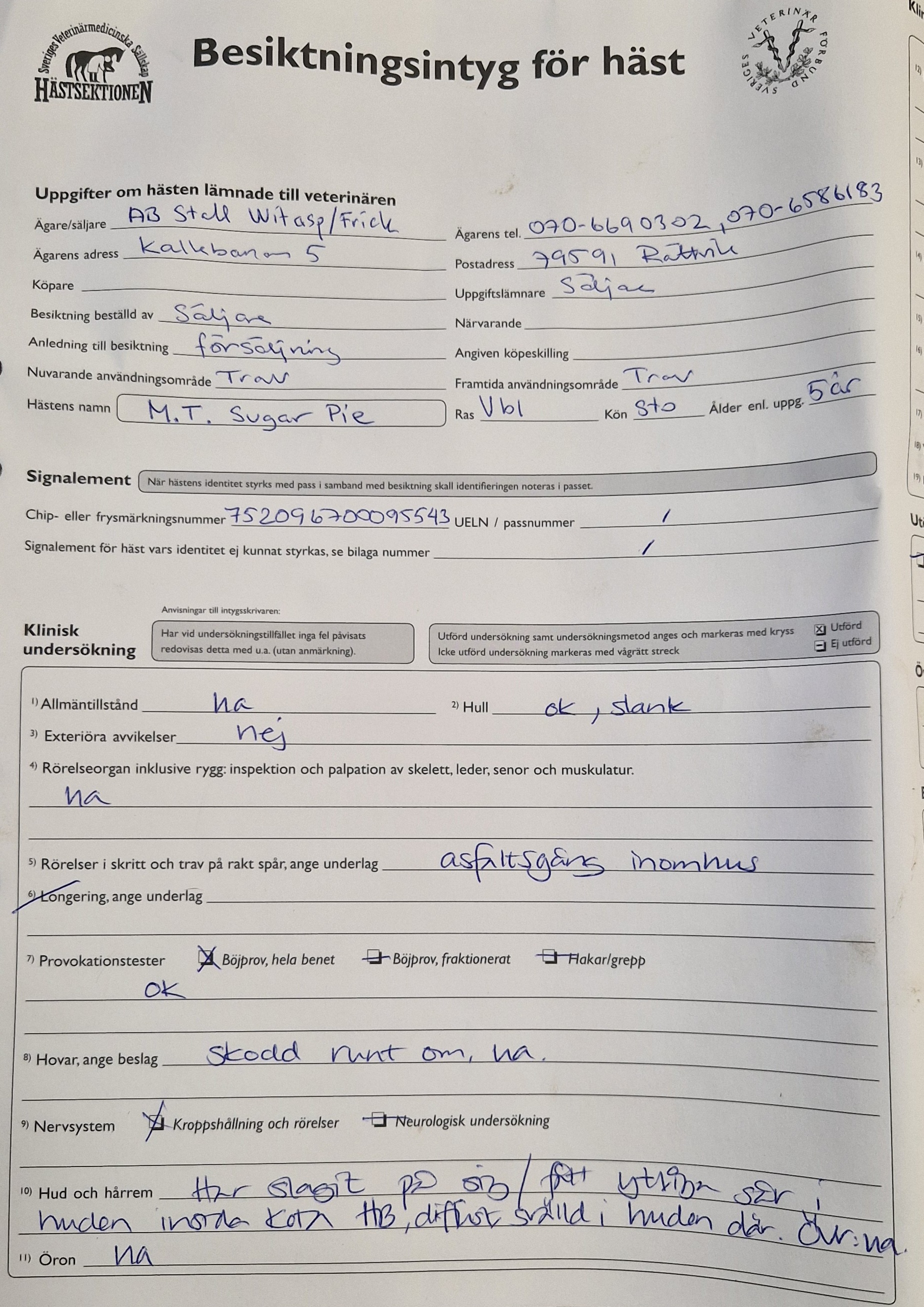 M.T.Sugar Pie – Travera.nu