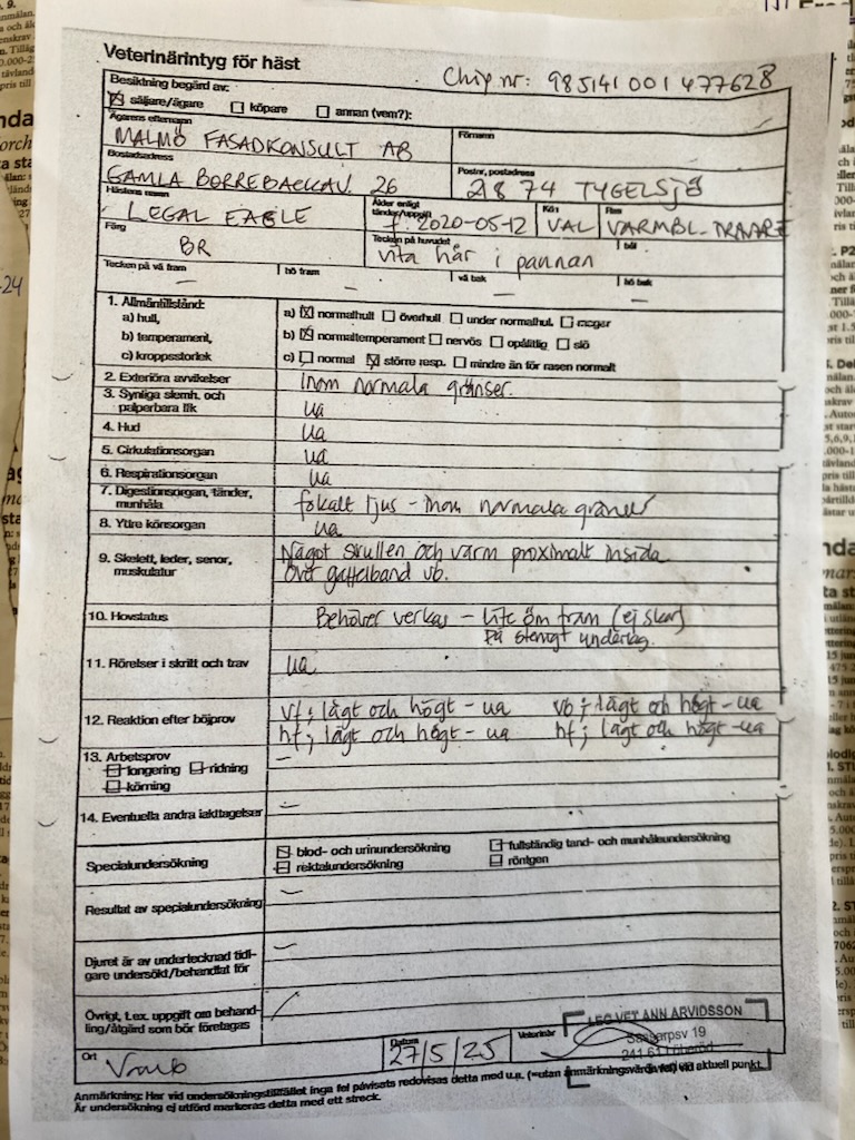 Legal Eagle – Travera.nu