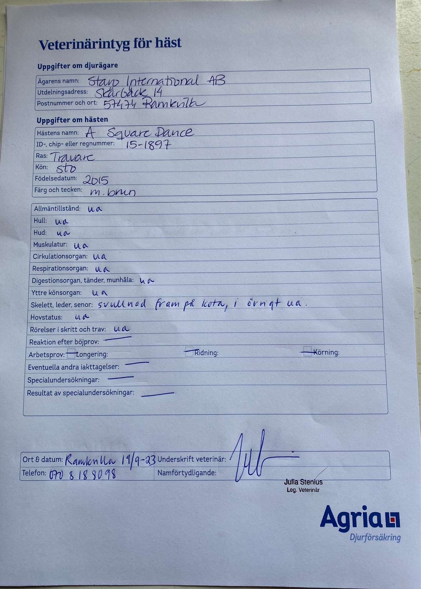 A Square Dance – Travera.nu