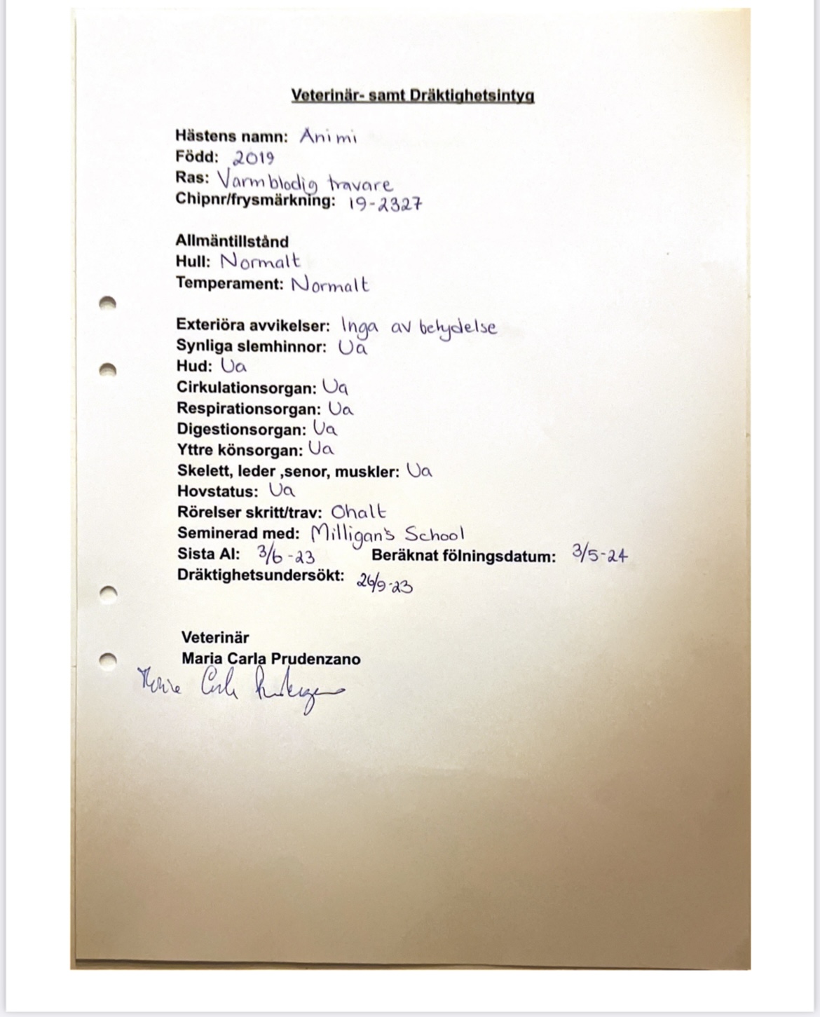 Animi – Travera.nu