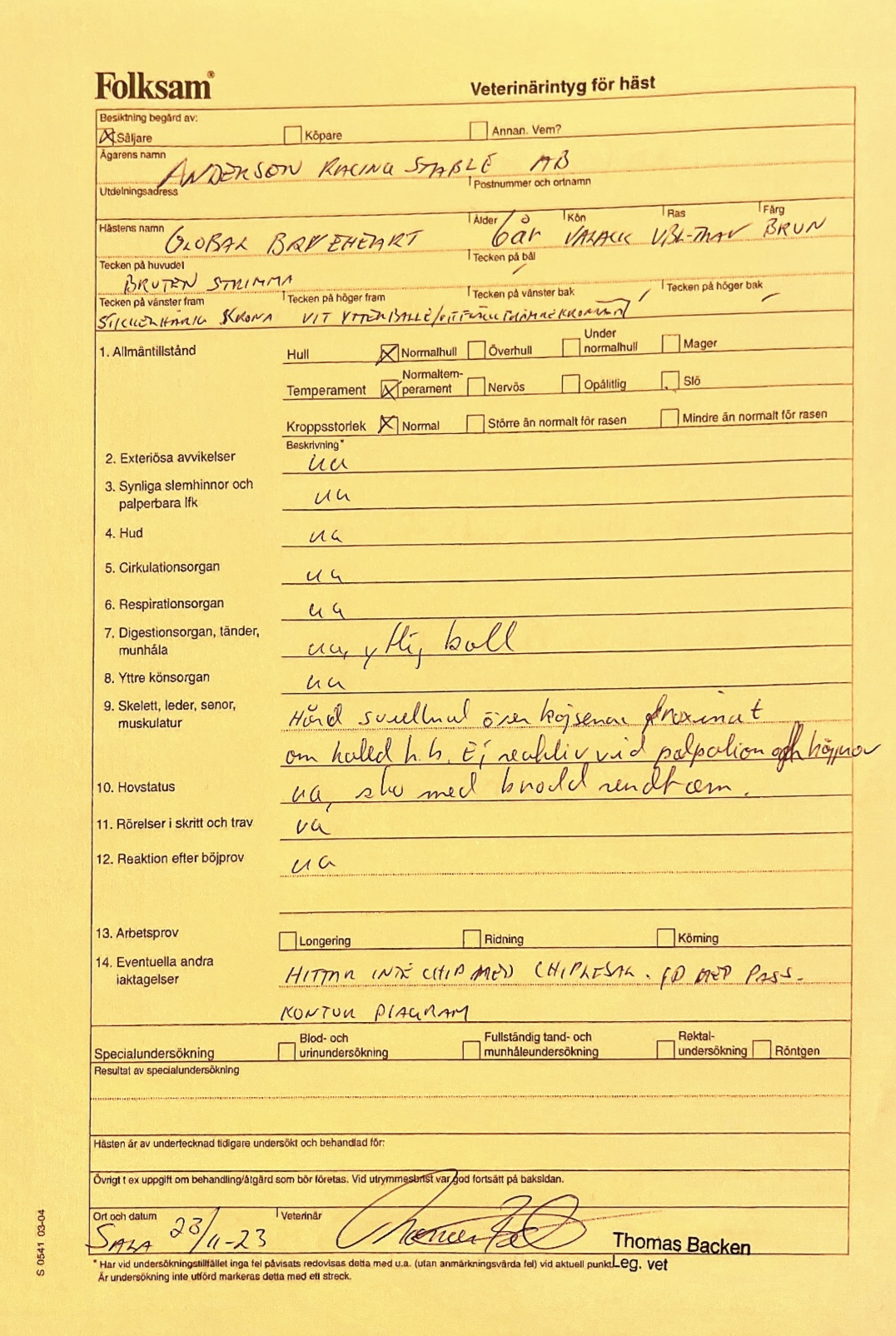 Global Braveheart – Travera.nu