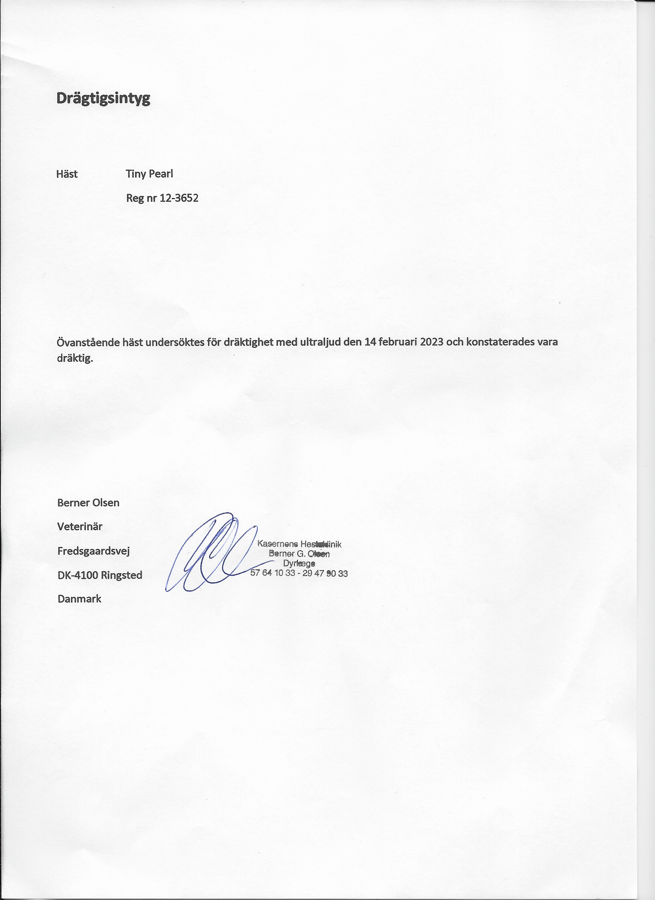 Tiny Pearl – Travera.nu