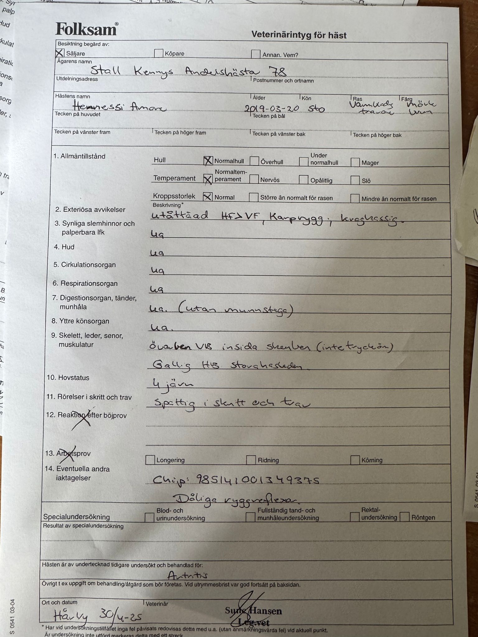 Henessi Amore – Travera.nu