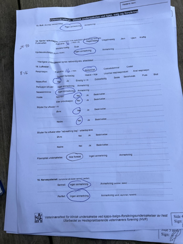 Hey Gorgeous Ravina – Travera.nu