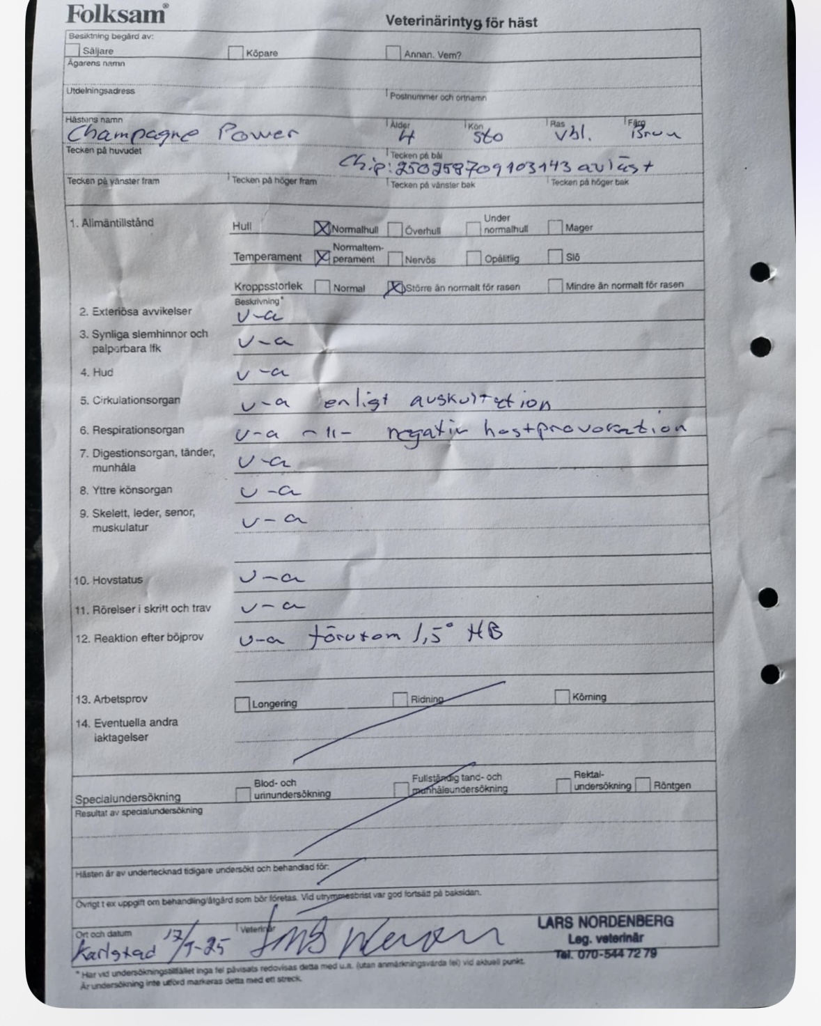 Champagne Power – Travera.nu