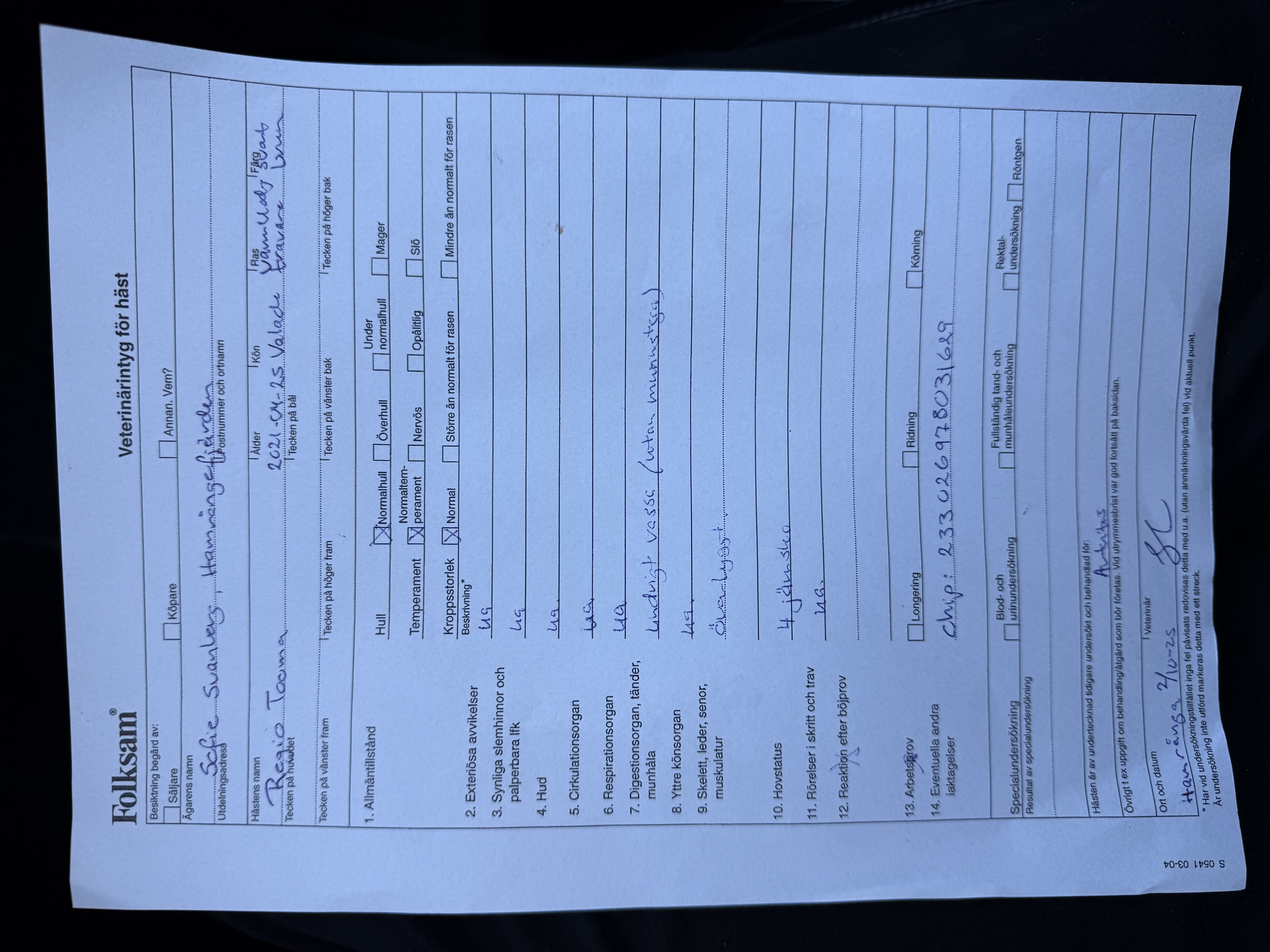 Reigo Tooma – Travera.nu