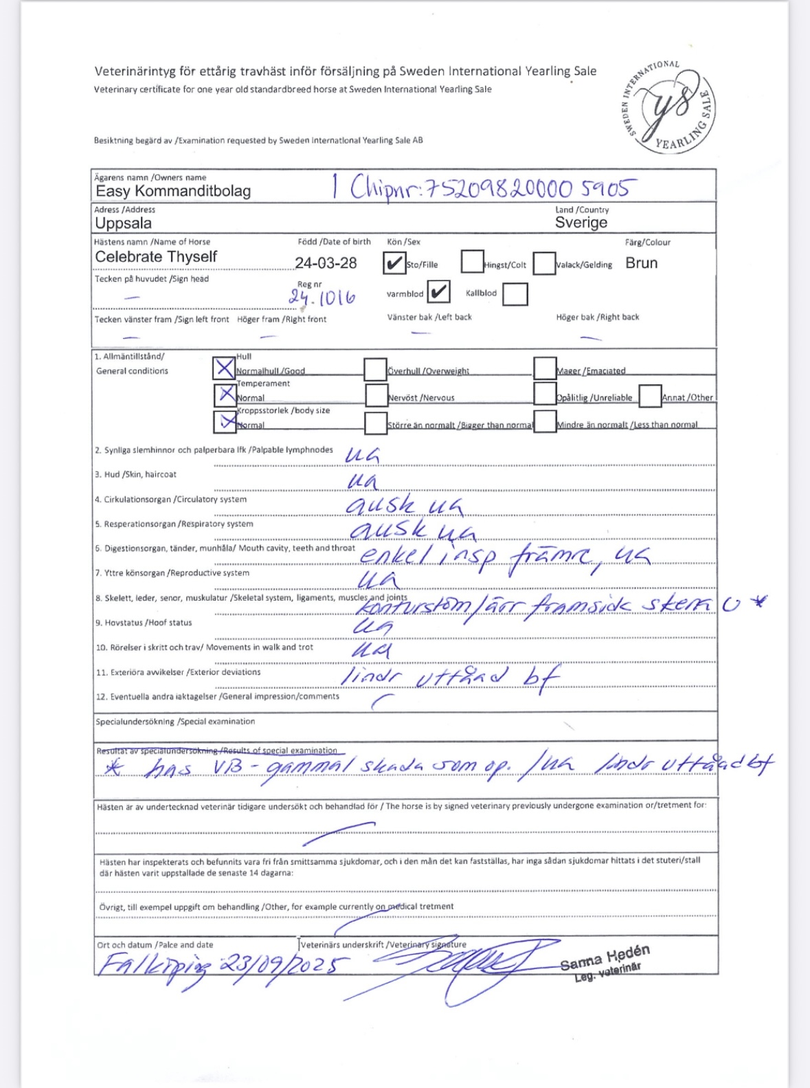 Celebrate Thyself – Travera.nu