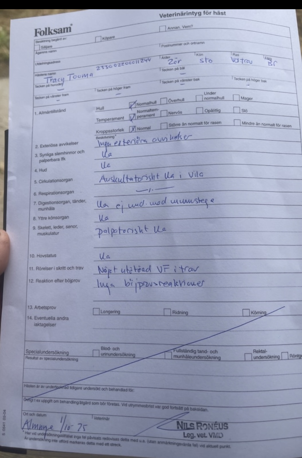 Tracy Tooma – Travera.nu