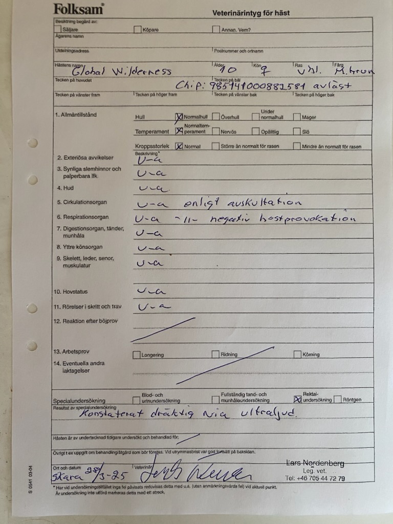 Global Wilderness – Travera.nu