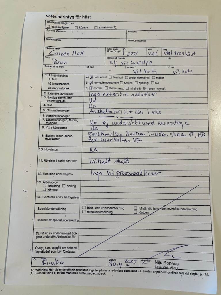 Calma Hall – Travera.nu