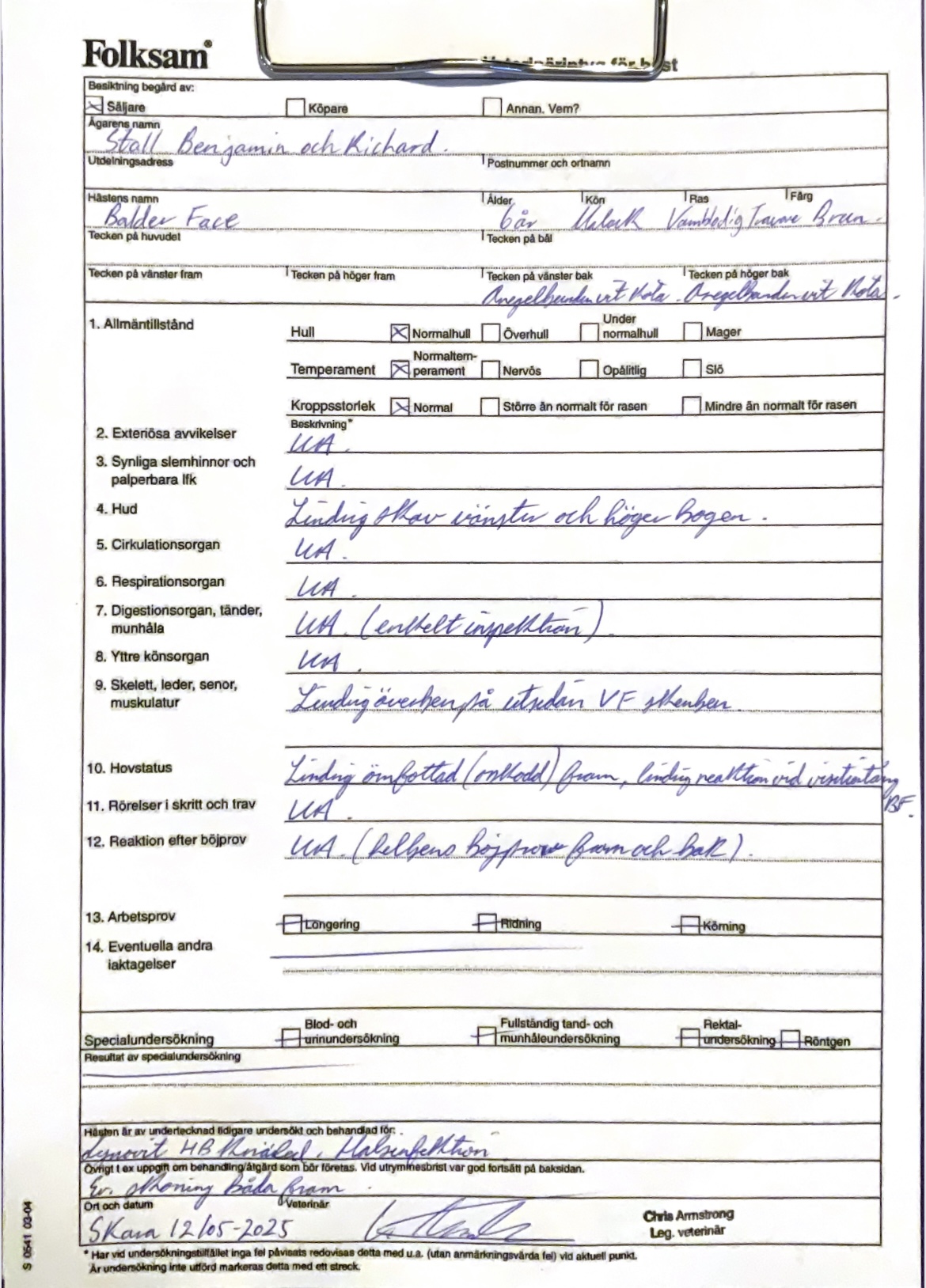 Balder Face – Travera.nu