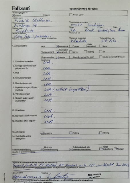 Brightside – Travera.nu