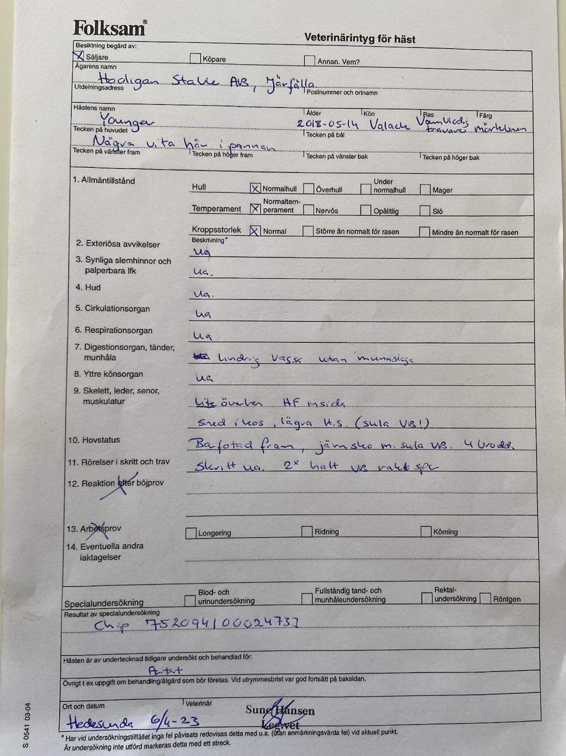 Younger – Travera.nu