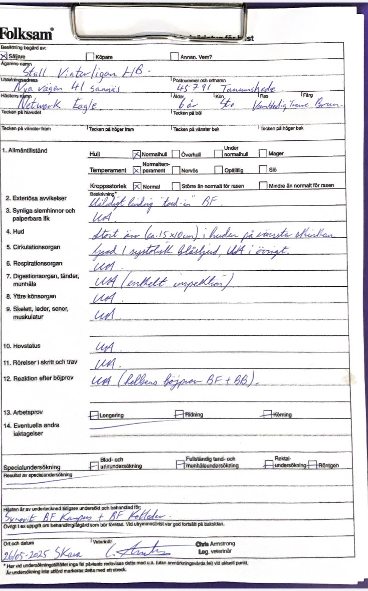 Network Eagle – Travera.nu