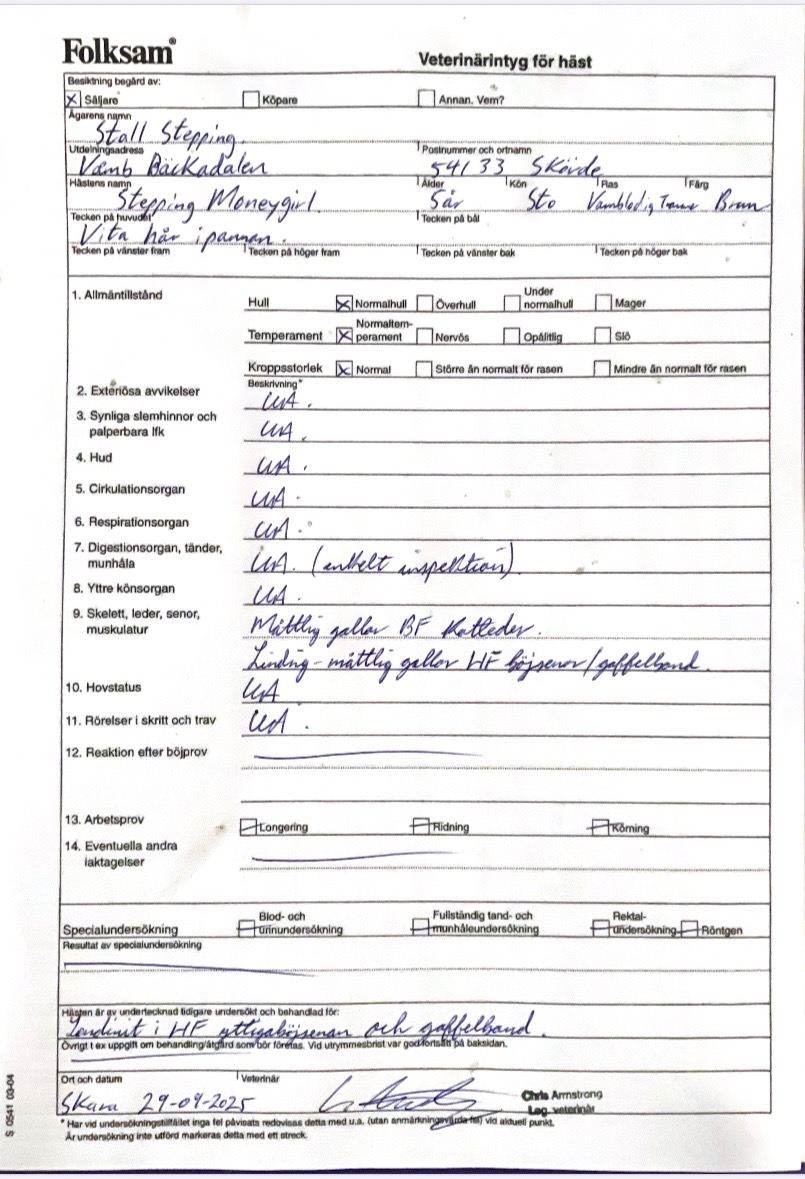 Stepping Moneygirl – Travera.nu