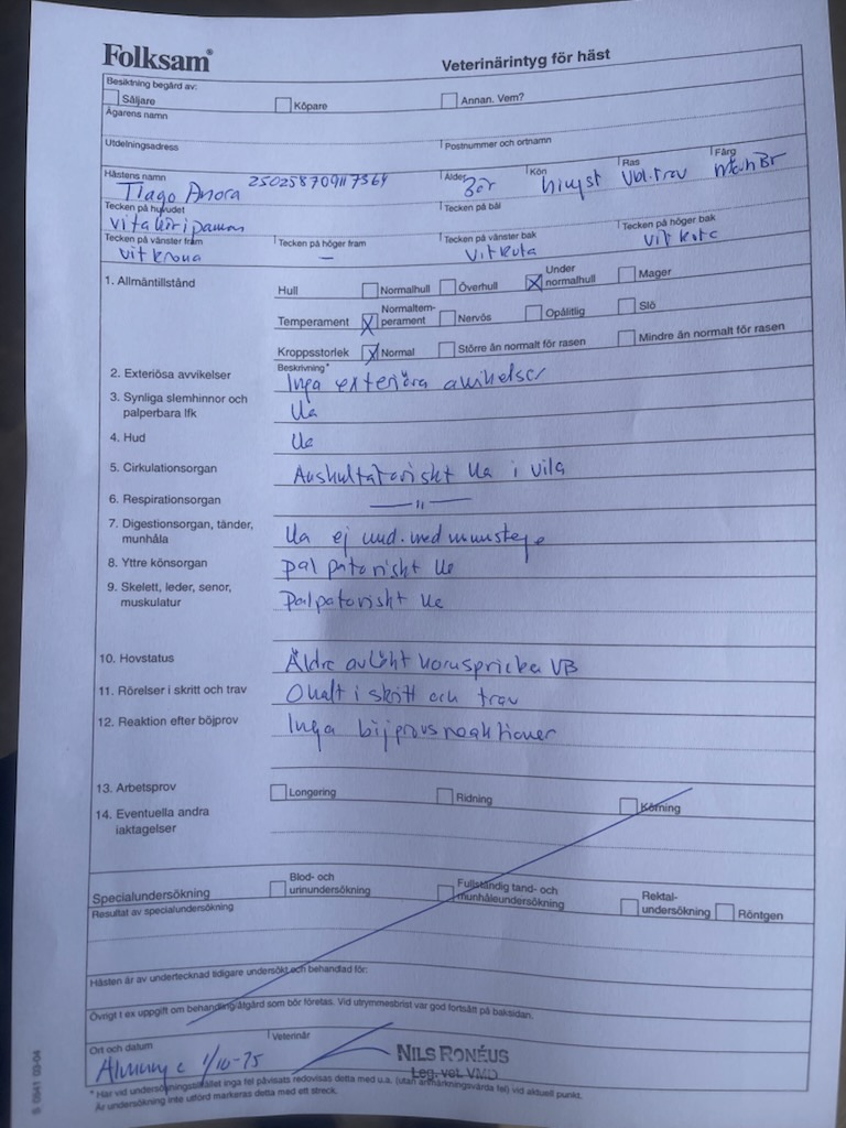 Tiago Anora – Travera.nu