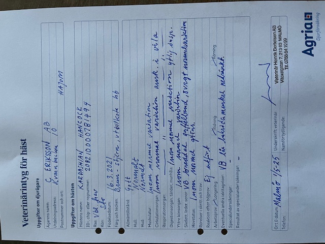 Kardashian Hancock (DK) – Travera.nu