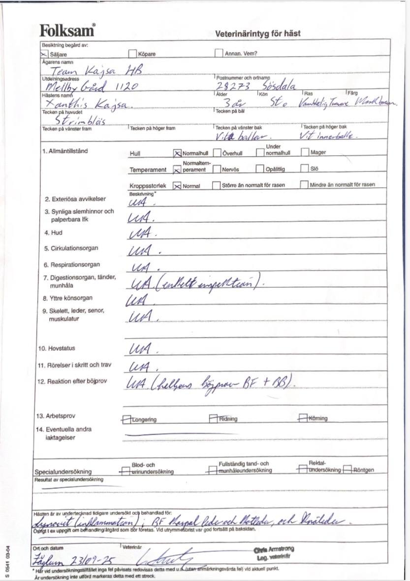 Xanthis Kajsa – Travera.nu