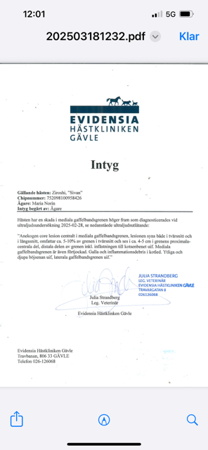 Ziroshi – Travera.nu