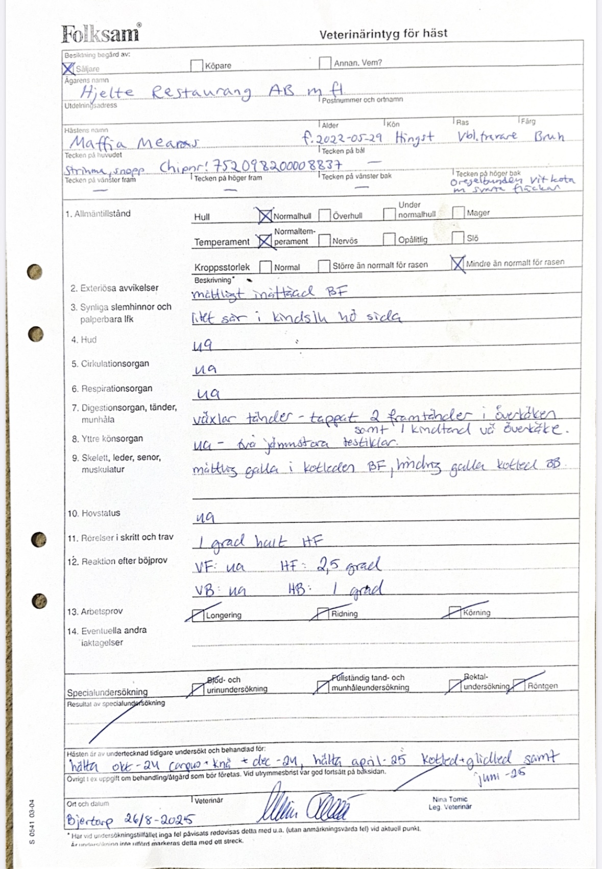 Maffia Mearas – Travera.nu