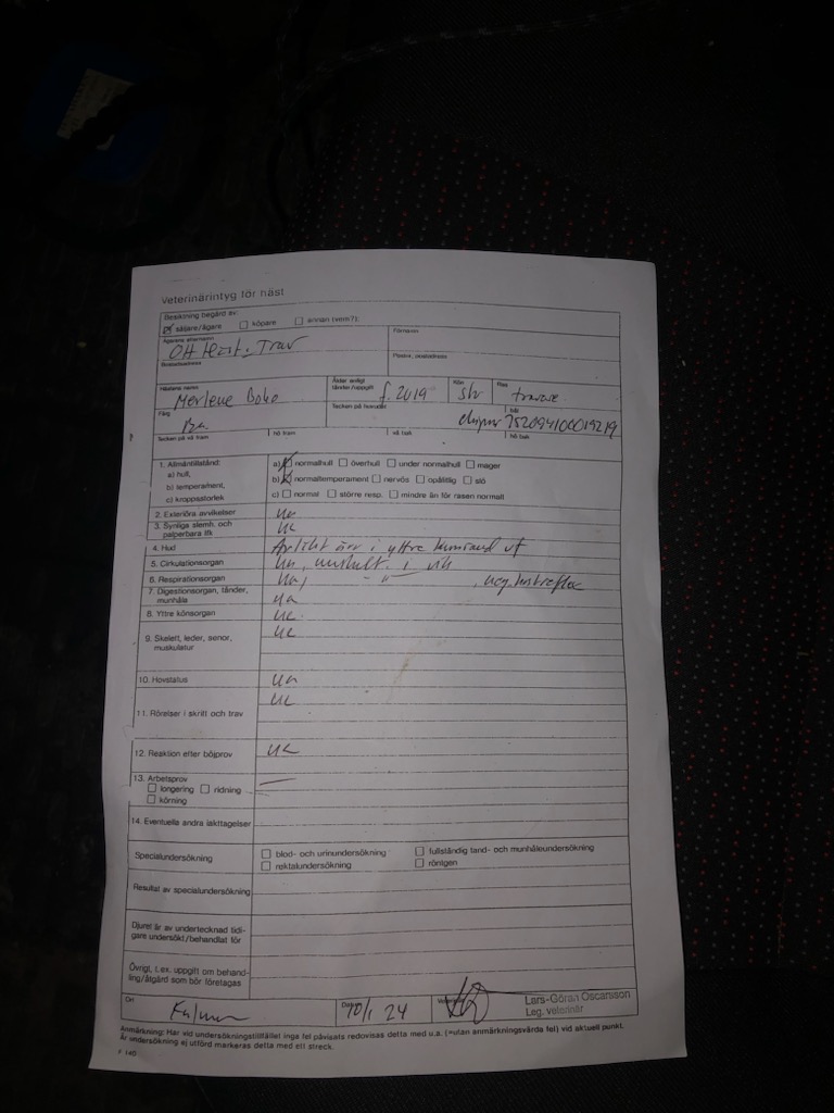 Merlene Boko – Travera.nu