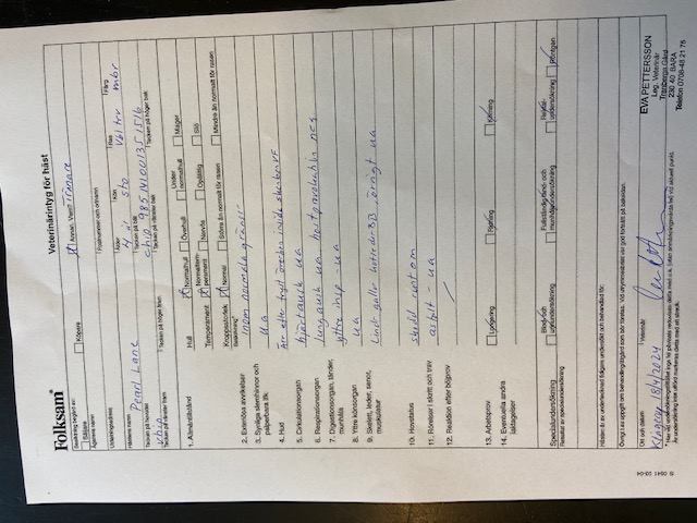 Pearl Hart – Travera.nu