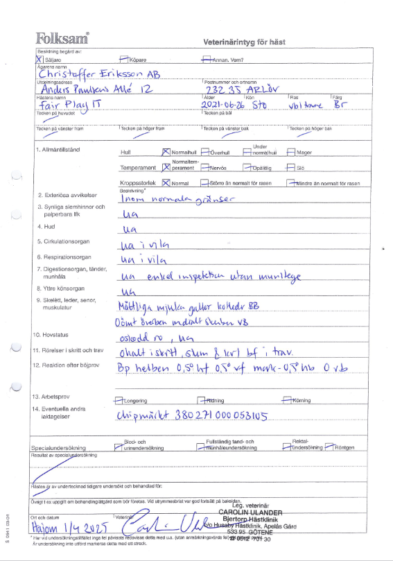 Fair Play I.T. (IT) – Travera.nu