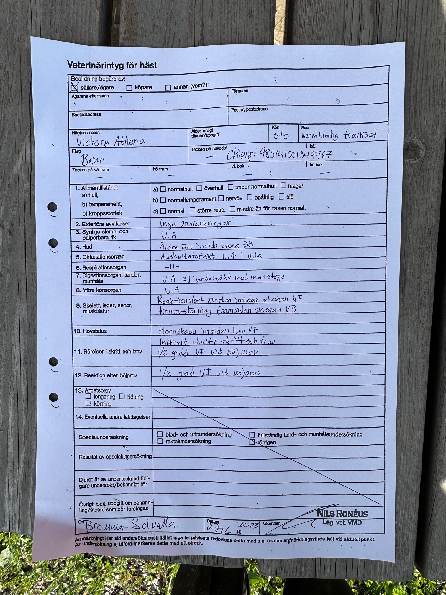 Victory Athena – Travera.nu