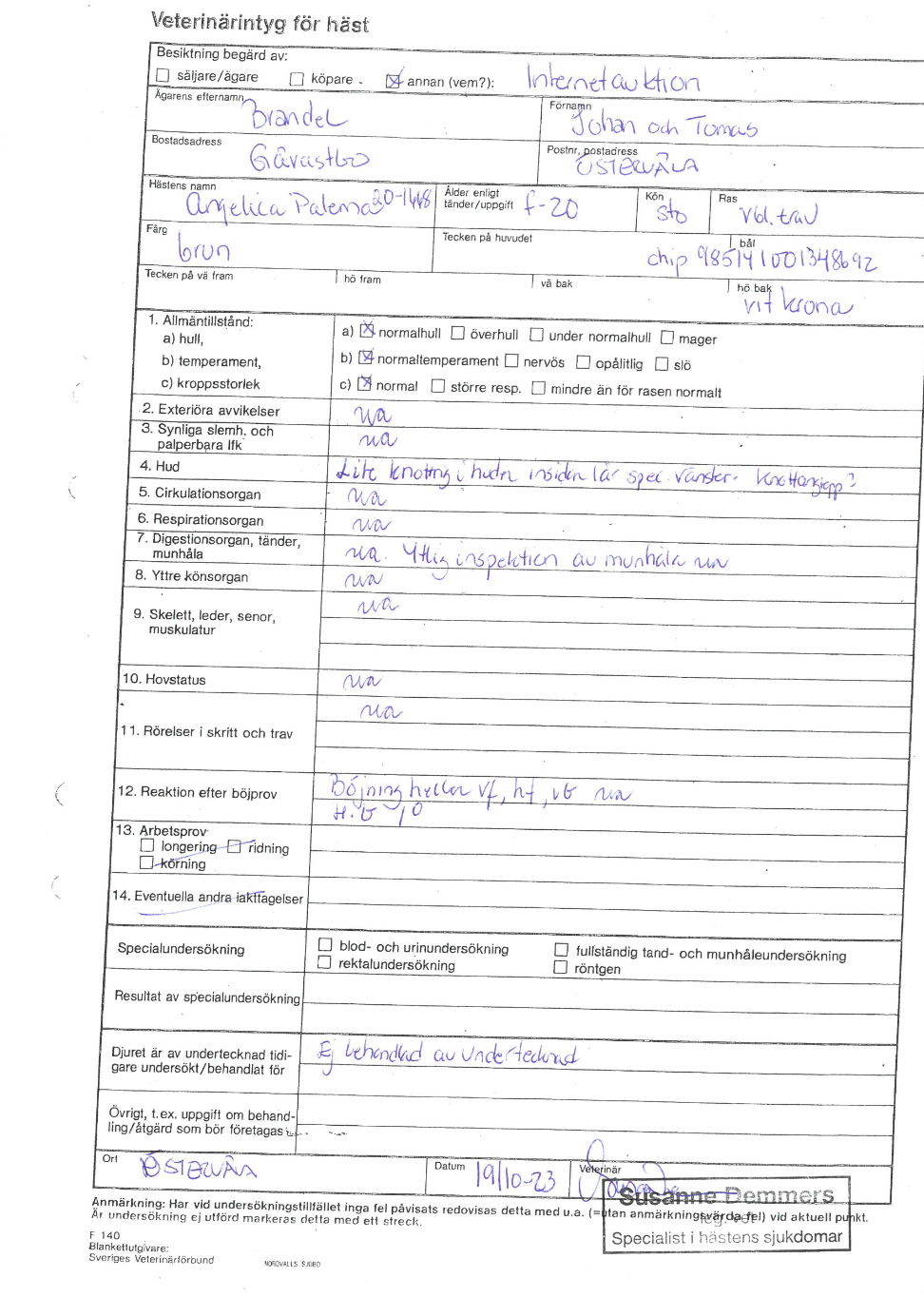 Angelica Palema – Travera.nu