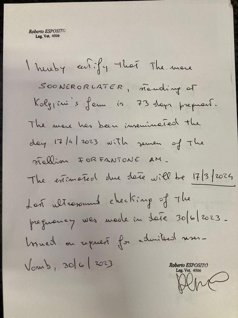 Soonerorlater – Travera.nu