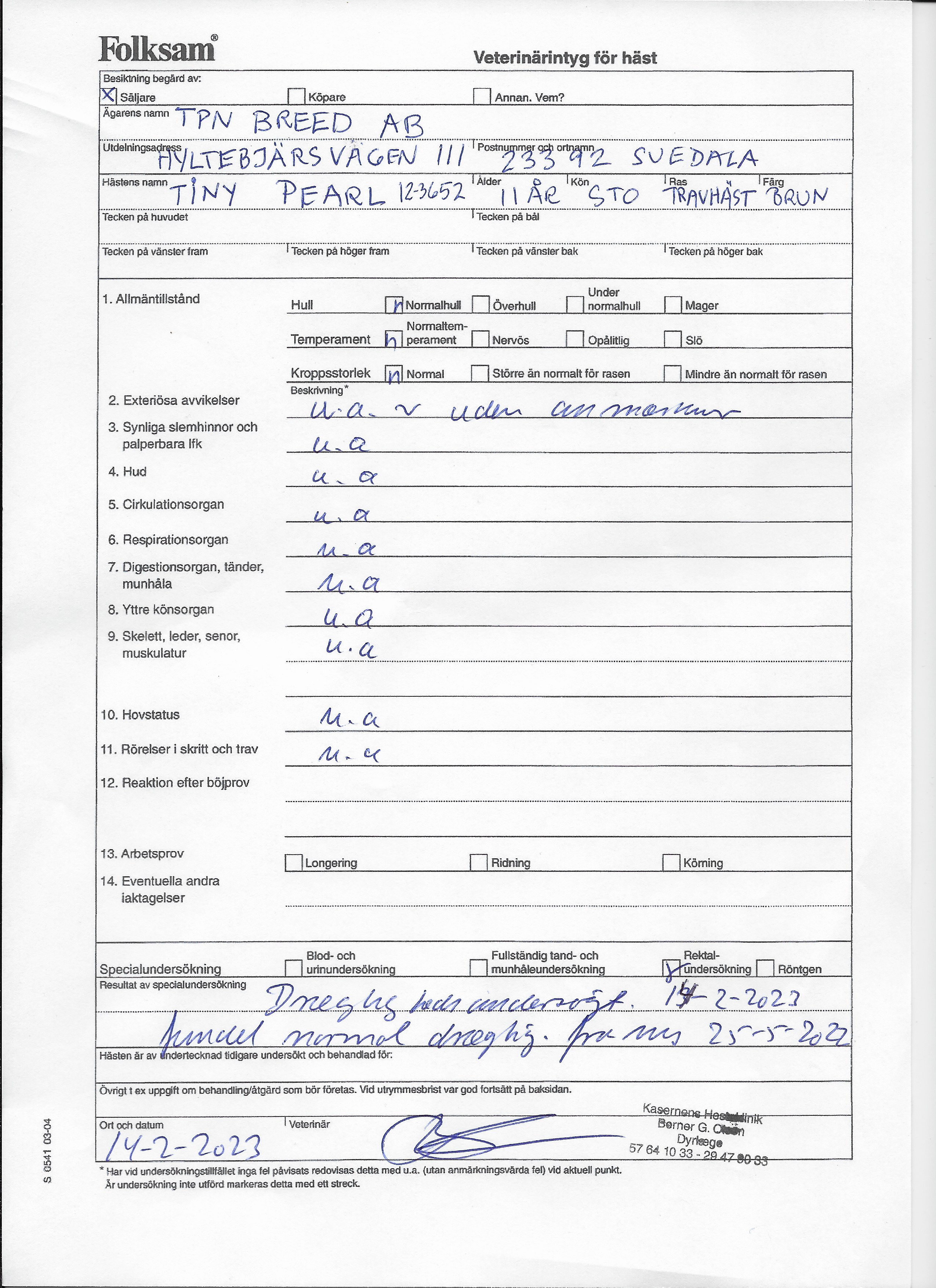 Tiny Pearl – Travera.nu