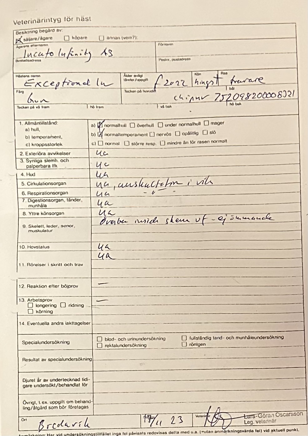 Exceptional In – Travera.nu