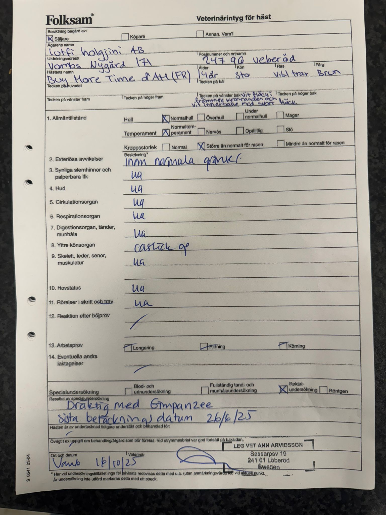 Buy More Time d'Am (FR) – Travera.nu