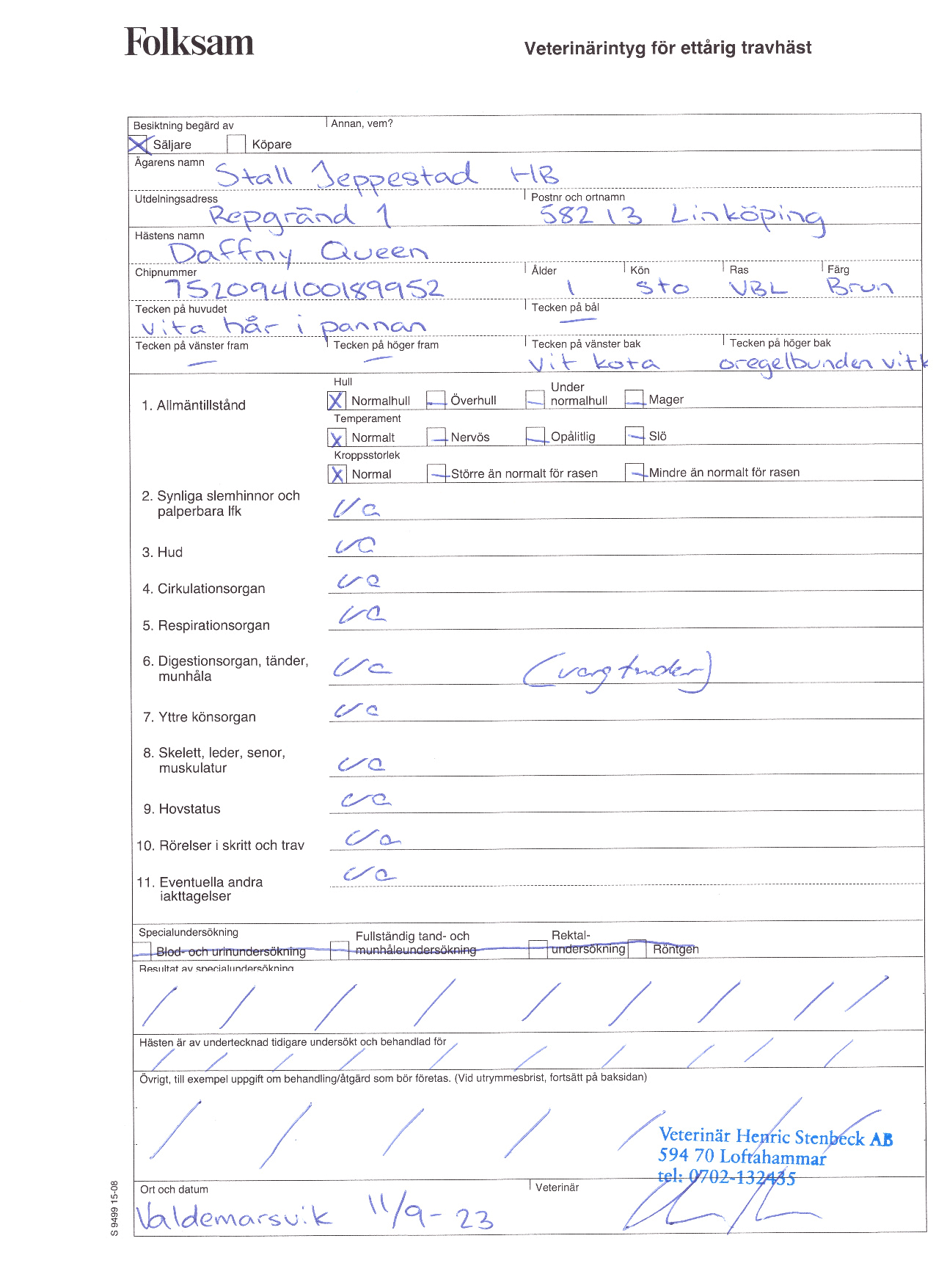 Daffny Queen – Travera.nu